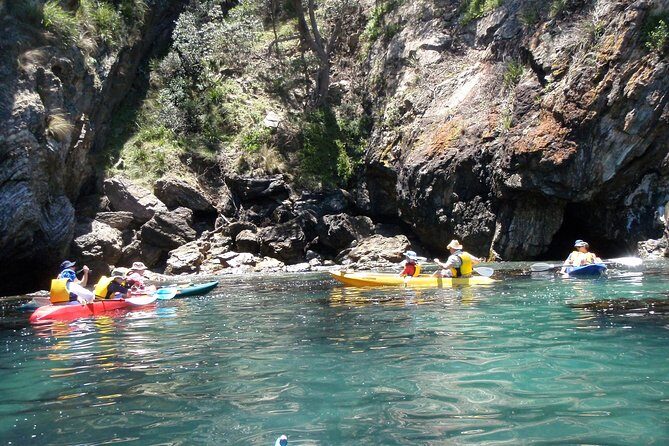 Batemans Bay Glass-Bottom Kayak Tour Over 2 Relaxing Hours - Frequently Asked Questions