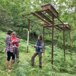 Batumi: Sweet Excursion and Mtirala Forest - Practical Details and Logistics