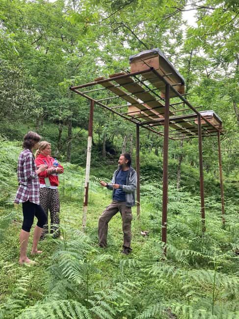 Batumi: Sweet Excursion and Mtirala Forest - Practical Details and Logistics