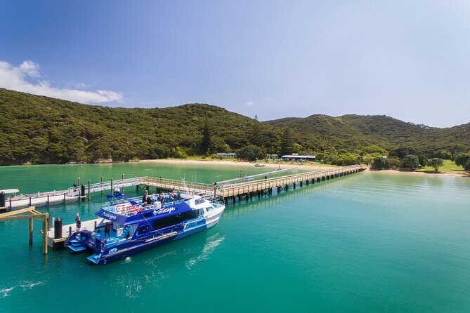 Bay of Islands Explorer Experience Small Group Tour From Auckland - What Makes This Tour Stand Out