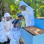 Bee Farm Tour & Honey Tasting - Practical Details: What You Need to Know