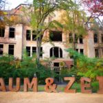 Beelitz-Heilstätten: Baum&Zeit Tree Top Walk Entry Ticket - Who Will Love This Experience?