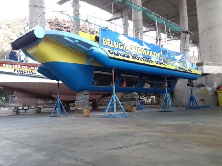 Beluga Submarine Glass-Bottom Boat Tour w/ Snorkeling Option - The Sum Up