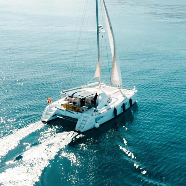 Benalmádena: Catamaran with dolphin watching and drinks - What You Can Expect During the Trip