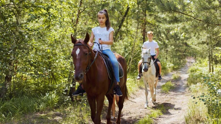 Benevento: Horseback Riding Tour with Aperitif - The Trails and the Environment: What to Expect