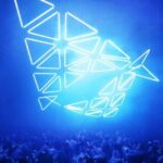 Berlin: DARK MATTER Experience KOLLEKTION Entry Ticket - How the Experience is Organized
