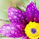 Berlin: Macro photography course - Nature in detail - Analyzing the Price and Overall Value