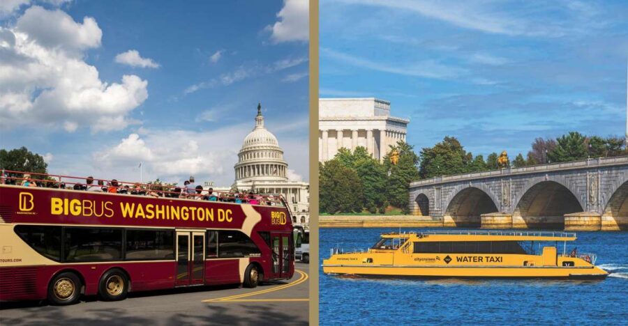 Best of DC: Hop-on Hop-off Bus Tour & Night Tour (Save 40%) - Who Is This Tour Best For?