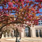 Best of Denver Walking Tour - The Value of This Tour