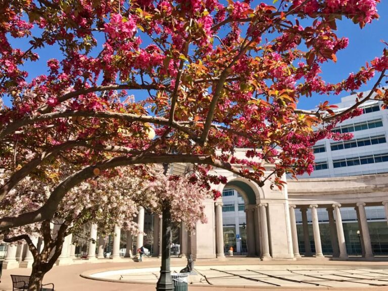 Best of Denver Walking Tour - The Value of This Tour