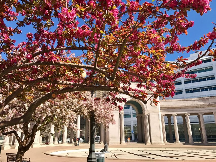 Best of Denver Walking Tour - The Value of This Tour