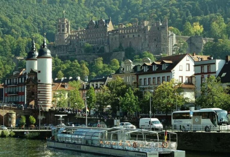 Best of Heidelberg Private Walk Tour with Professional Guide - What’s Included and What to Expect