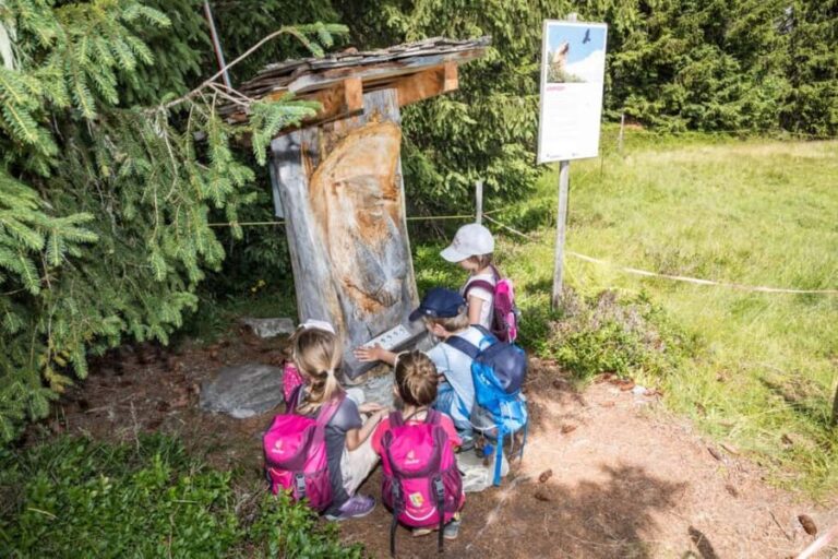 Betelberg: Marmot Trail with Interactive Play Stations - Exploring the Betelberg Marmot Trail: A Detailed Look