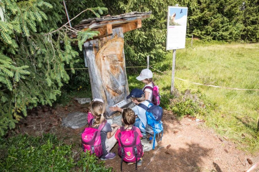 Betelberg: Marmot Trail with Interactive Play Stations - Exploring the Betelberg Marmot Trail: A Detailed Look