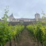 Between vineyards and a royal residence  enjoy Würzburg's wines with a view - Why This Tour Offers Great Value