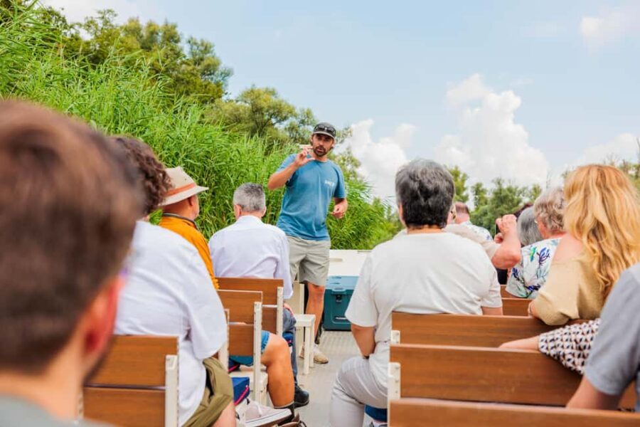 Biesbosch: National Park Cruise - A closer look at the Biesbosch National Park Cruise