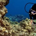 Big Island: 3 Hour Waikoloa Snorkeling & Sailing Adventure - The Vessel and Onboard Experience