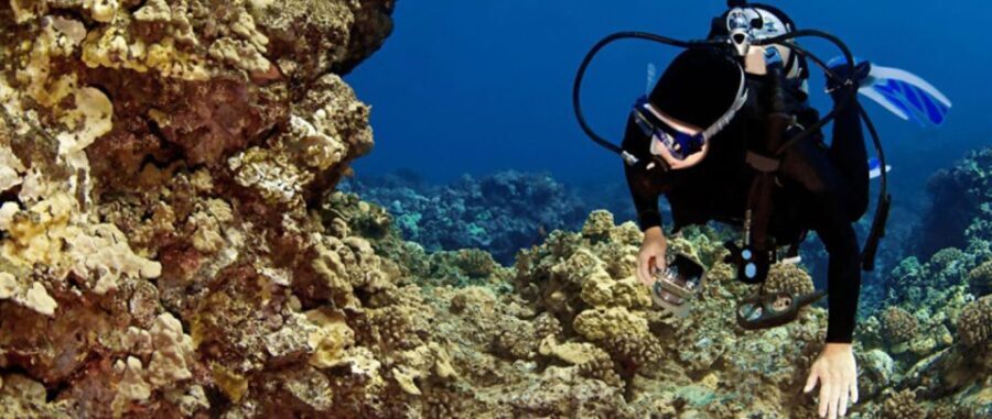 Big Island: 3 Hour Waikoloa Snorkeling & Sailing Adventure - The Vessel and Onboard Experience