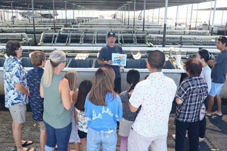 Big Island: Abalone Farm Guided Tour with Tasting - A Close Look at the Itinerary
