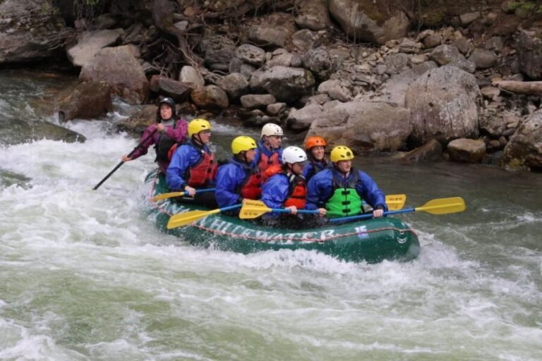 Big Sky: Full Day Gallatin River Raft Trip + Lunch (6 hours) - The Scenic & Wildlife Aspect