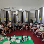 Bike Tour among the Ancient Olive Trees with EVO Oil Tasting - What You’ll Experience on the Tour