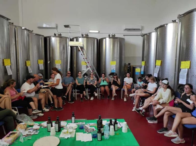 Bike Tour among the Ancient Olive Trees with EVO Oil Tasting - What You’ll Experience on the Tour