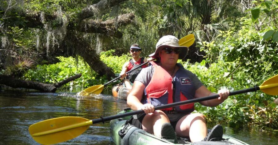 Blackwater Creek: Exclusive Nature Escape Kayak Adventure - What’s Included & What to Bring