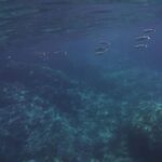 Boat excursion Giardini Naxos Taormina with swimming break - Why the Stops Matter
