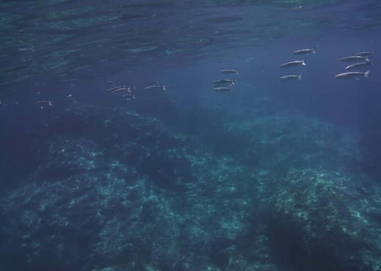 Boat excursion Giardini Naxos Taormina with swimming break - Why the Stops Matter