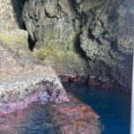 Boat tour in Taormina with aperitif - An Overview of the Tour Experience