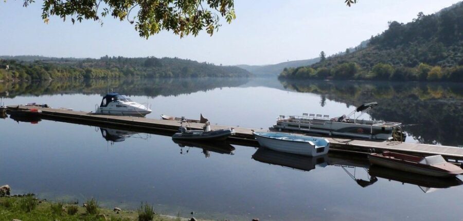 Boat Tour SUNTRACKER - The Practicalities: Who’s It For?