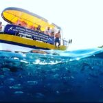 Boat Trip  Coastal Tour from Faana to Pula and snorkelling - The Itinerary in Detail: What to Expect