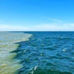 Boat trip to the Danube's mouth at the Black Sea - What is the Experience Like?