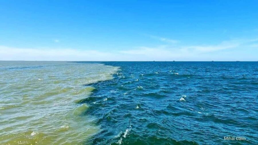 Boat trip to the Danube's mouth at the Black Sea - What is the Experience Like?