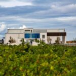 BODEGAS PANDORA: tour through the vineyards and winery with wine tasting. - Exploring the Itinerary of Pandora’s Winery Tour