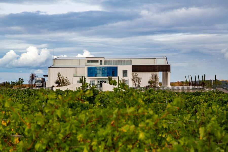 BODEGAS PANDORA: tour through the vineyards and winery with wine tasting. - Exploring the Itinerary of Pandora’s Winery Tour