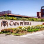 Bolgheri: guided visit of the winery and tasting of our wines - Discovering Bolgheri: A Landscape of Vines and Valleys