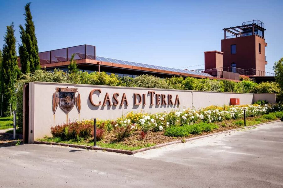 Bolgheri: guided visit of the winery and tasting of our wines - Discovering Bolgheri: A Landscape of Vines and Valleys