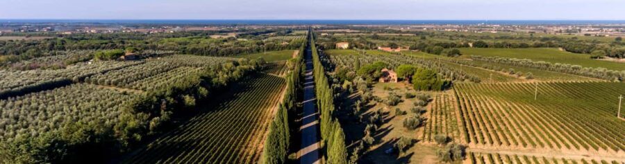 Bolgheri: Guided Walking Tour of the Village - How Does This Tour Compare in Value?