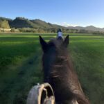 Bologna: Horseback Ride in the Bolognese Hills - Final Thoughts