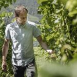 Bolzano: Wine Tasting at SKYWINE Pavilion with Views - The Itinerary and Atmosphere