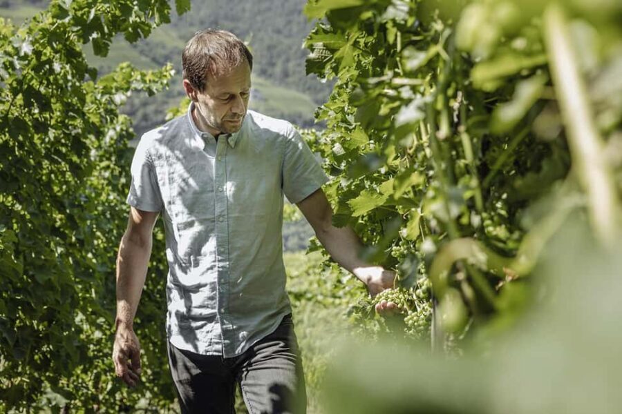 Bolzano: Wine Tasting at SKYWINE Pavilion with Views - The Itinerary and Atmosphere