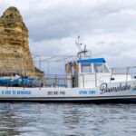 Boomshaka Kayak Tour - What You Need to Bring & Consider