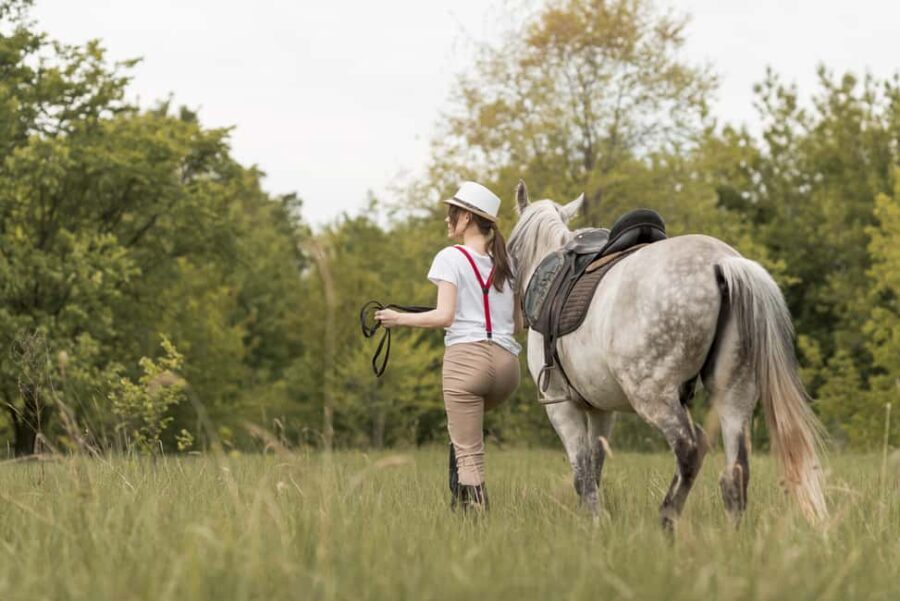 Bordeaux: Private Horseback Ride + Wine Tasting + Picnic - Discovering Bordeaux from the Saddle: An In-Depth Review