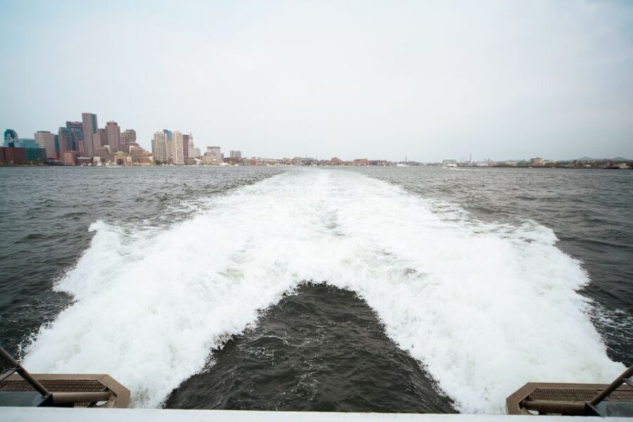 Boston: City Cruises Whale Watching Cruise - Who Will Love This Cruise?