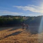 Bracciano: Horseback Ride in the Tolfa Mountains - The Trails—A Scenic Journey