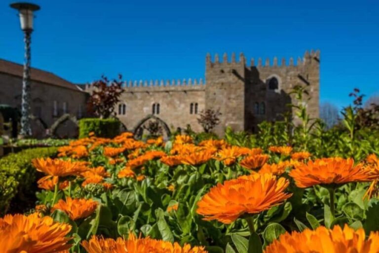 Braga & Guimarães day tour from Porto - What Travelers Say