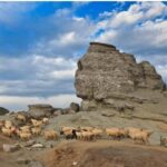 Braov: Carpathian Mountains Guided Hike with Pickup - Discovering the Carpathians from Braov