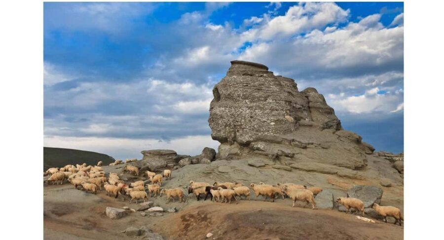 Braov: Carpathian Mountains Guided Hike with Pickup - Discovering the Carpathians from Braov