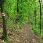 Braov in Focus: A Walking Tour, Hike & Photo Experience - What Folks Are Saying